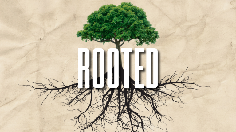 Rooted Series