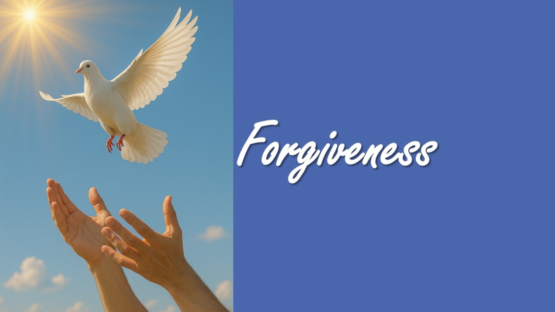 Forgiveness Series